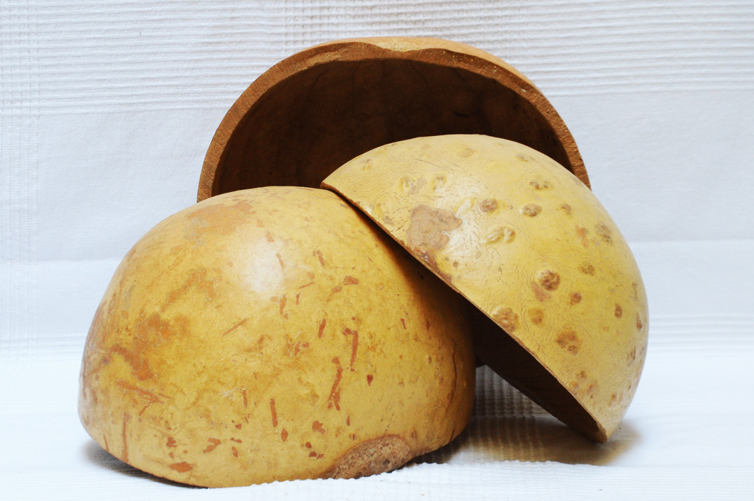 Calebasse H 23-25 - Calebasse ronde Ø23-25 cm - Calebasse hémisphérique