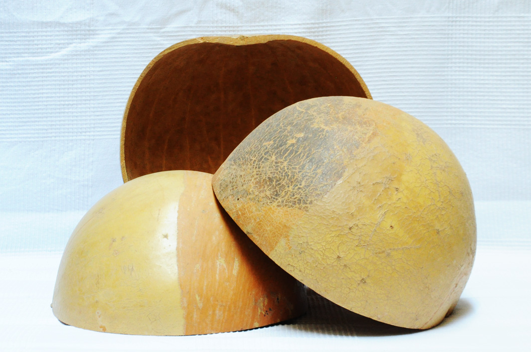 Calebasse H31-32 - Calebasse ronde - Calebasse hémisphérique Ø31-32 cm