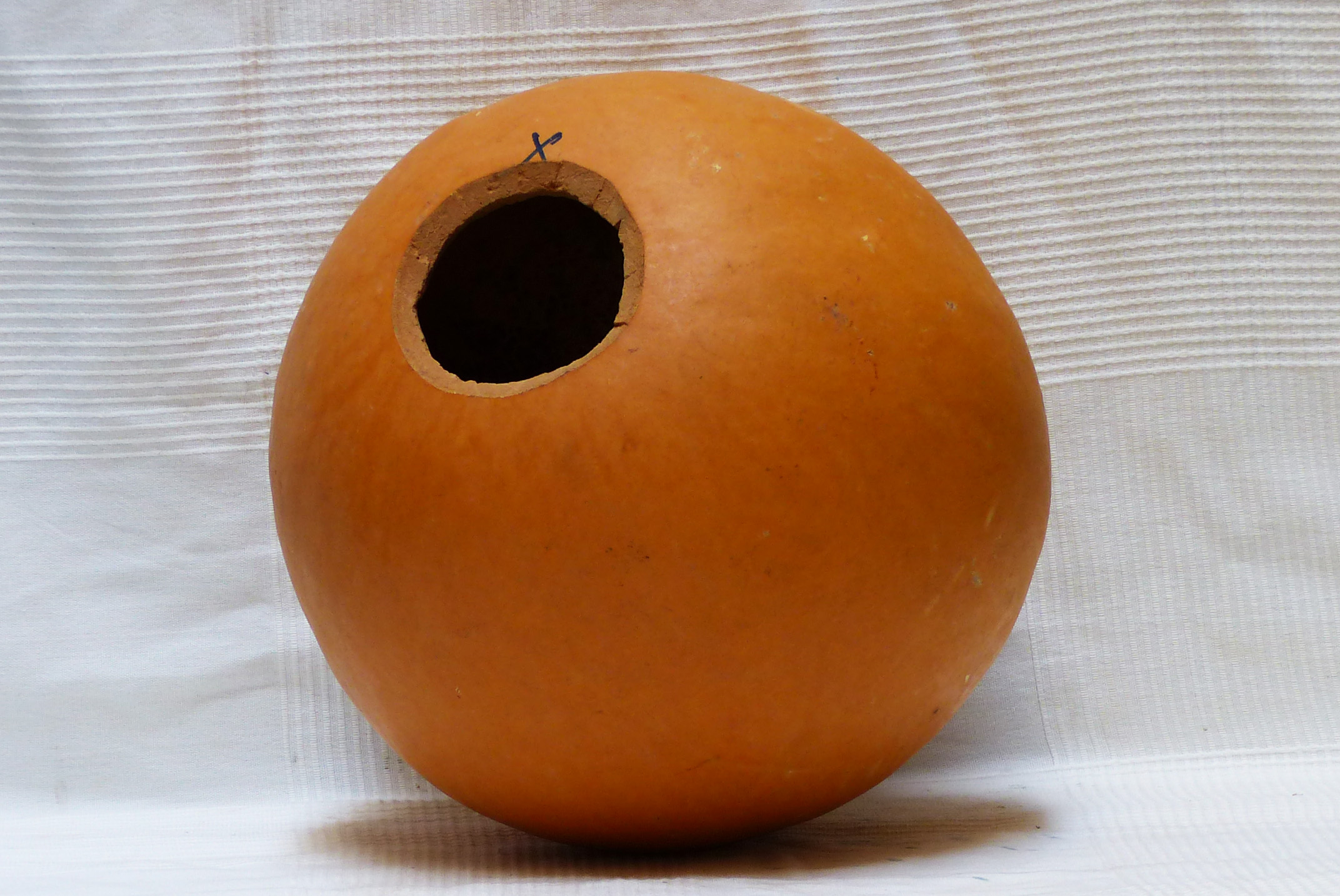 Calebasse S 37-39 - Calebasse ronde Ø37-39 cm - Calebasse sphérique